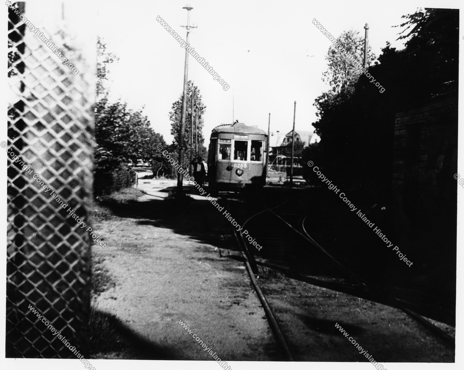 Trolley (Brooklyn & Queens Transit 8248) on Norton's Point line | Coney ...