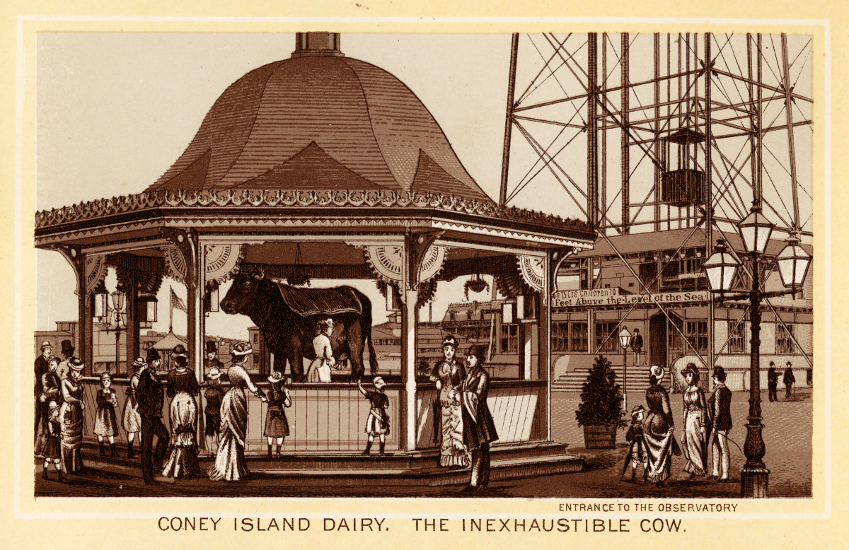 Album of Coney Island: Page 05 | Coney Island History Project